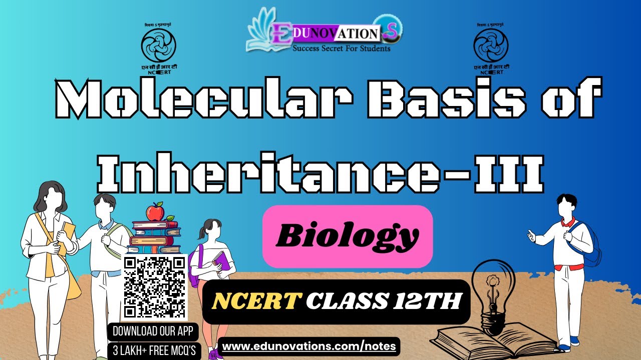 Molecular Basis of Inheritance 3 | NCERT Class 12 BIOLOGY | CBSE | NEET ...
