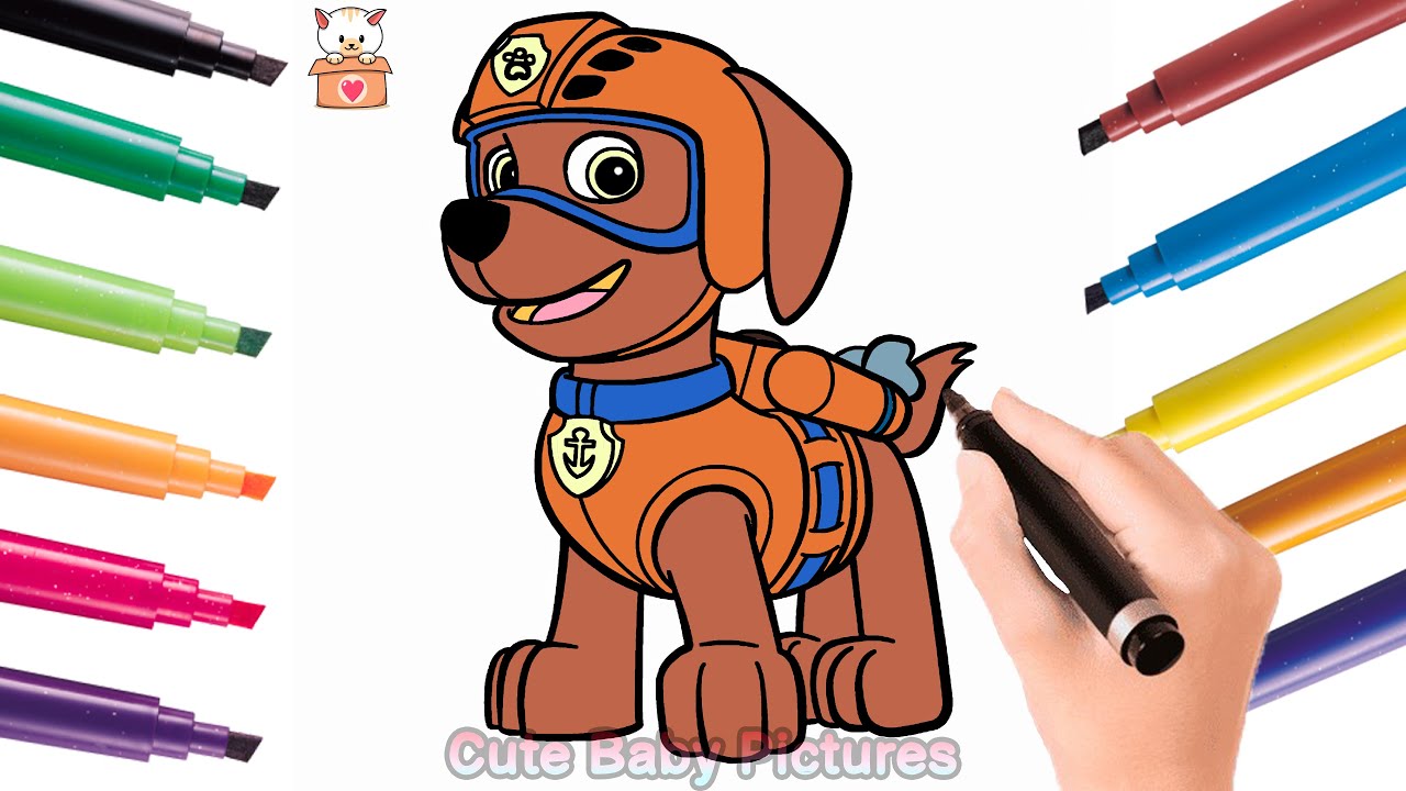 How to Draw Cute Zuma from PAW Patrol - YouTube