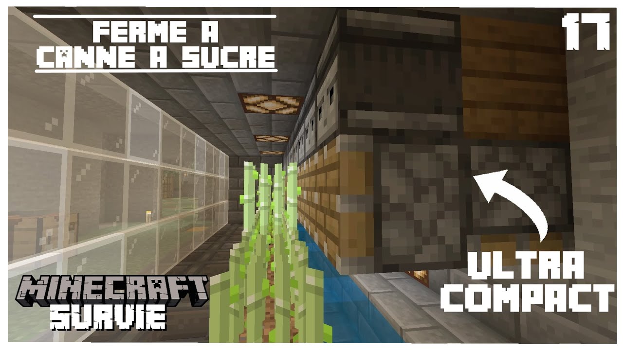 [TUTO] LET'S PLAY MINECRAFT S1 : FERME A CANNE A SUCRE AUTO - #17 - YouTube