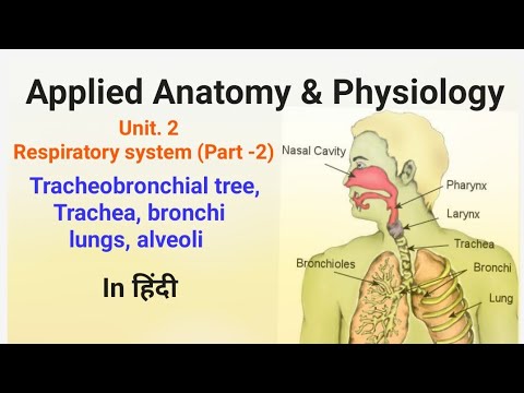 || Applied Anatomy & Applied Physiology || Unit. 2 || Respiratory ...