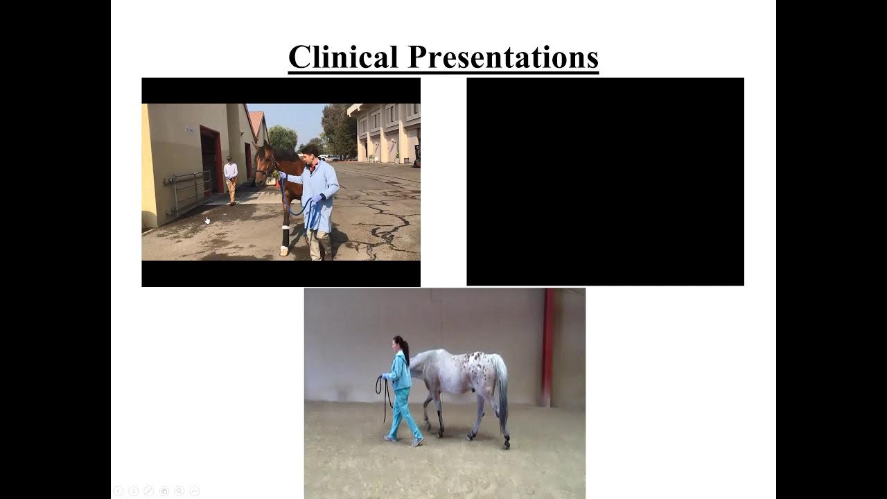 AAEP 2020 Merck Virtual Showcase Presentation on EPM featuring Dr. Pusterla - YouTube