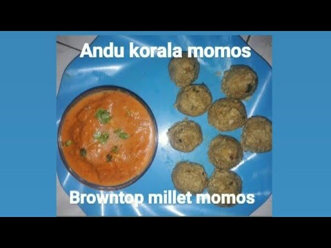 Andu Korrala momos || browntop millet momos | eat millets in a ...