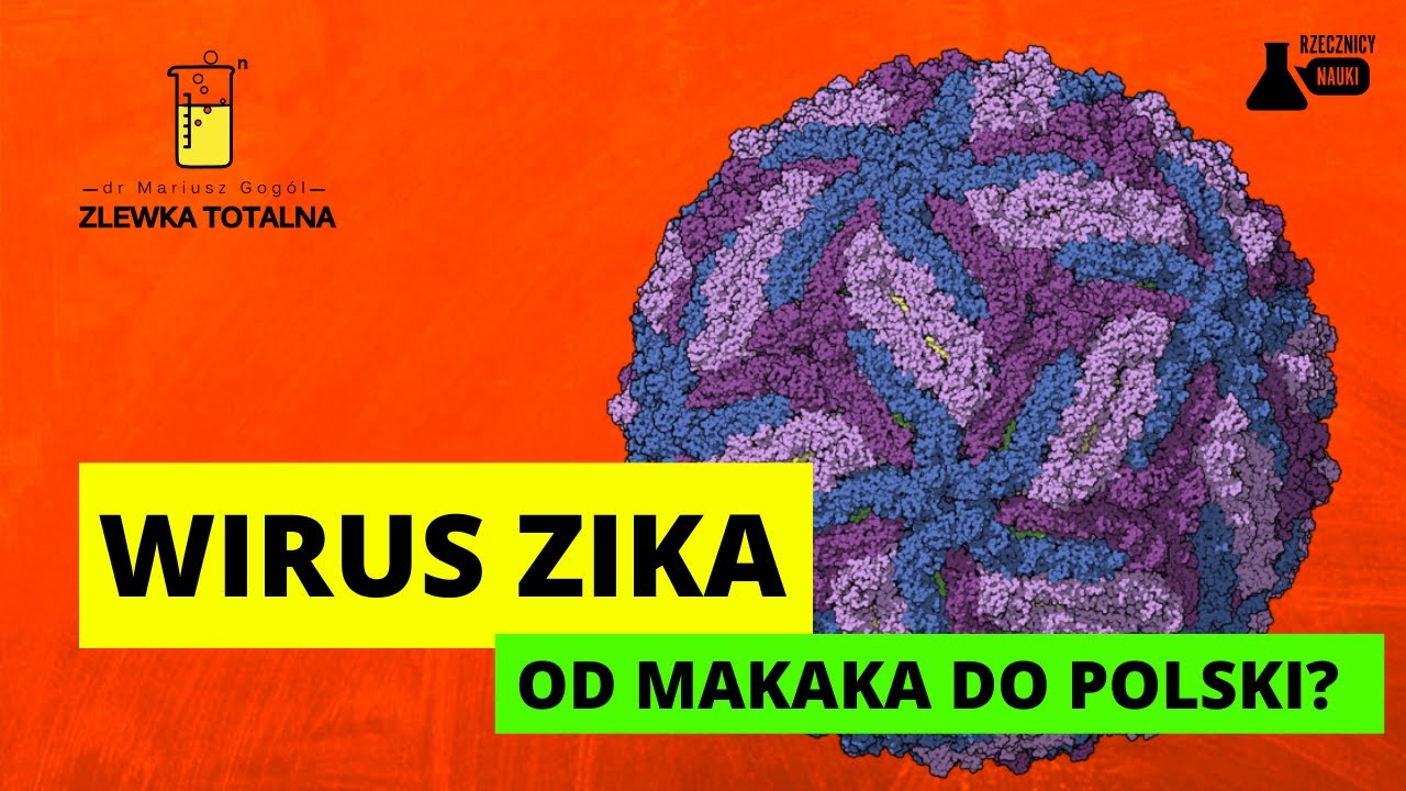 #1 WIRUS ZIKA - OD MAKAKA DO POLSKI? [ENCYKLOPEDIA WIRUSÓW] - YouTube