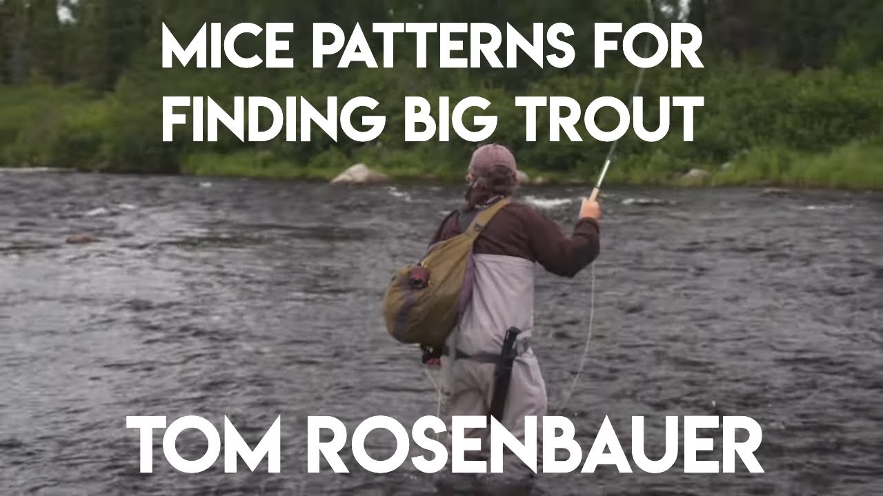 Mice for Brook Trout with Tom Rosenbauer - YouTube
