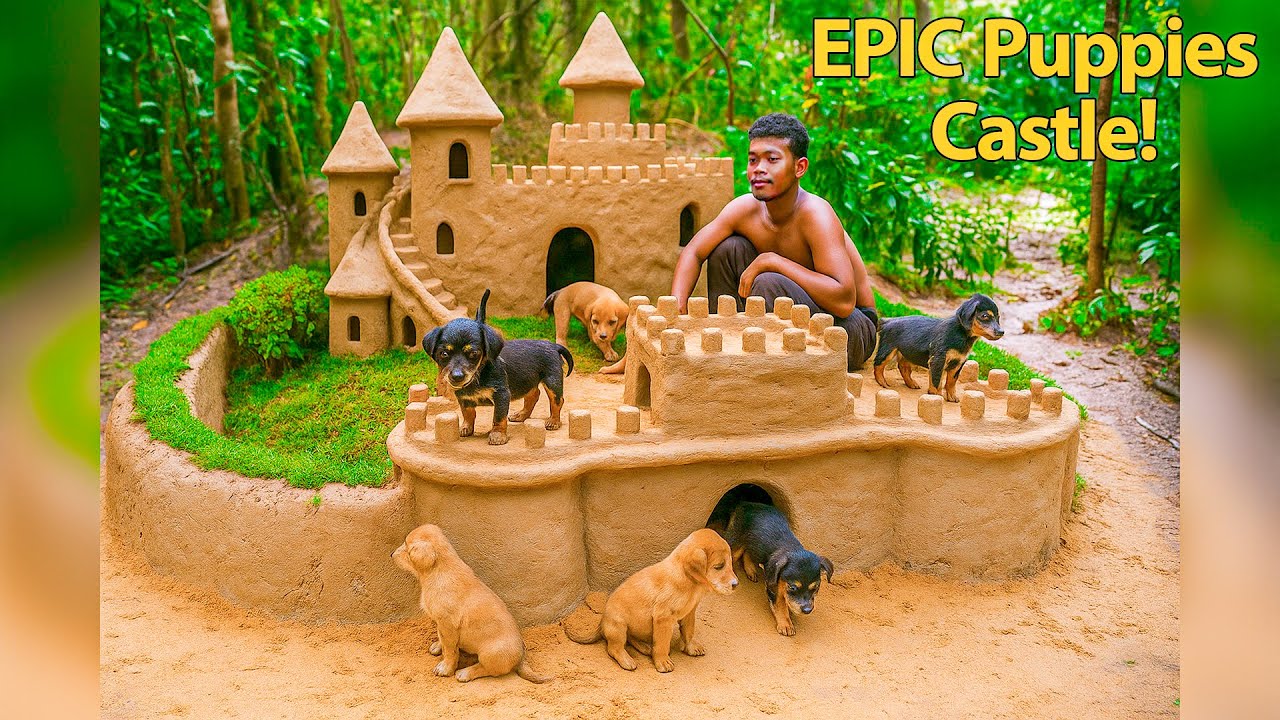 Building the Ultimate Puppy Playground – Adorable Puppy Castle ...