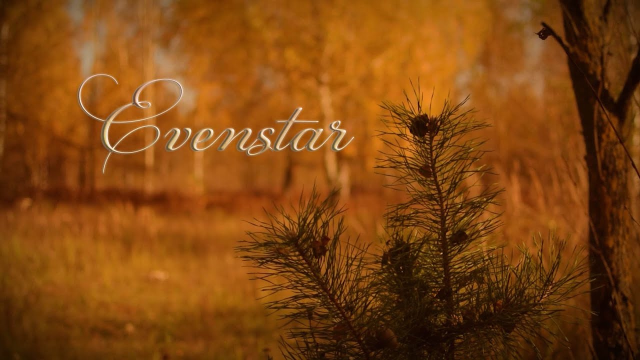 Evenstar [The Lord of the Rings: The Two Towers] Arranged & performed ...