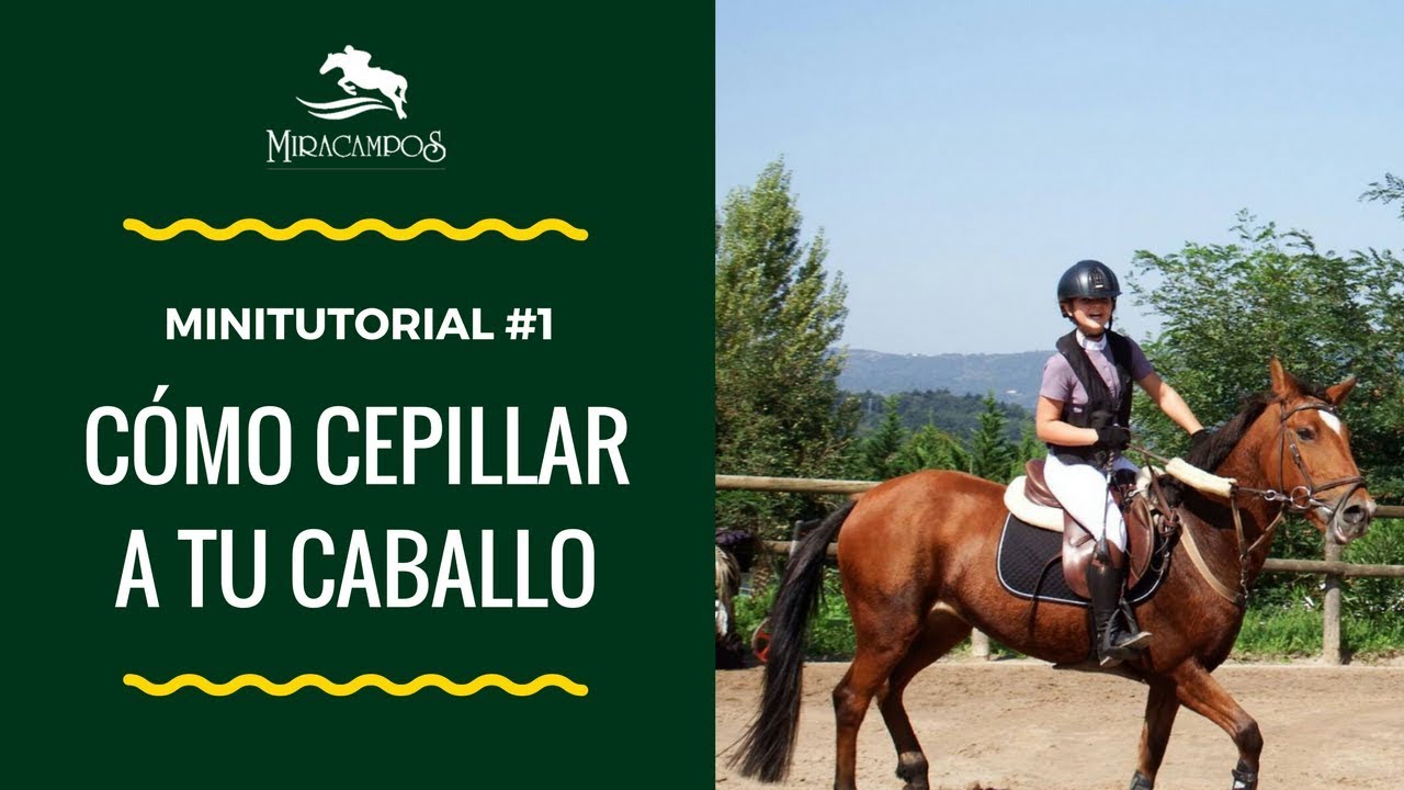 Minitutorial #1 // Cómo Cepillar a tu Caballo - YouTube