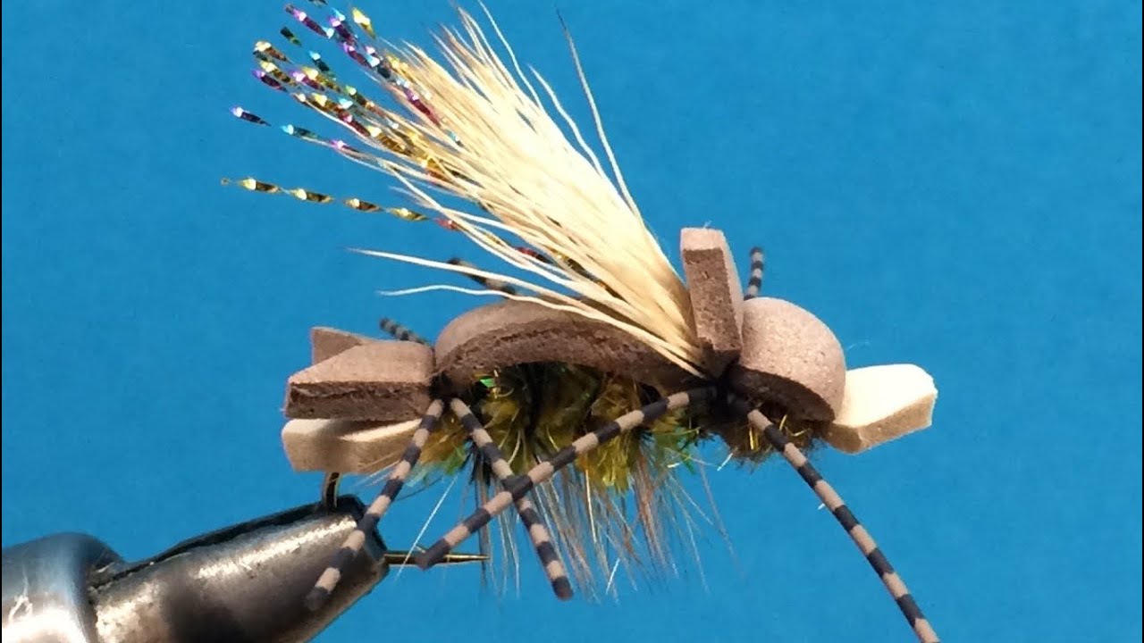 Amy's Ant - TRAILER - WWW.ANZUELOSYPLUMAS.COM - YouTube