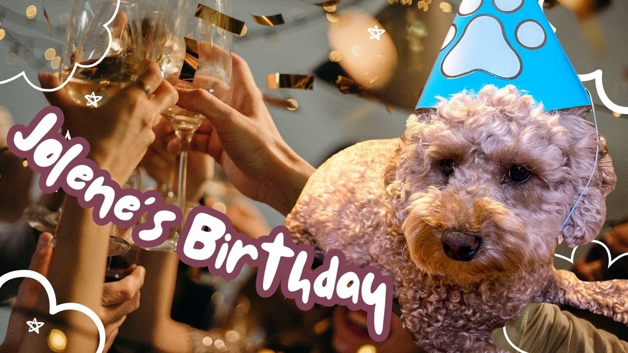 Celebrating Jolene's Birthday 🥳🐾 - YouTube