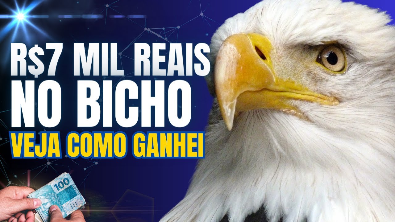 Ganhei $7 595 No Jogo Do Bicho Essa Semana Não Foi Sorte! - YouTube
