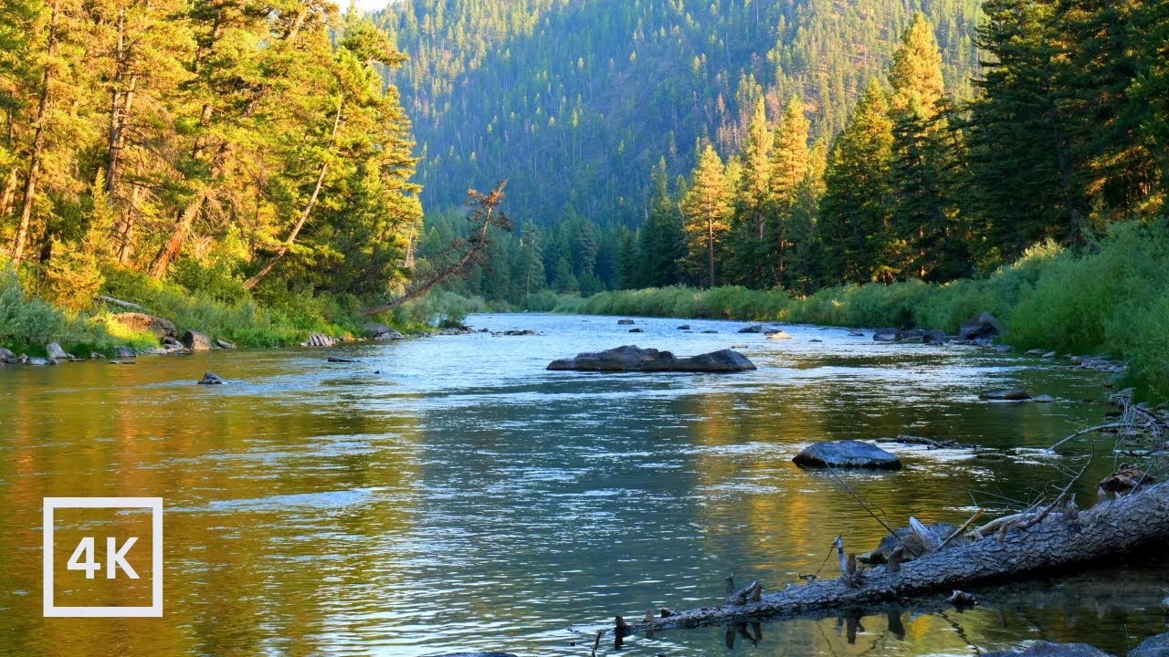 4K Blackfoot River Sunset | Montana Backcountry | Forest River Sounds ...