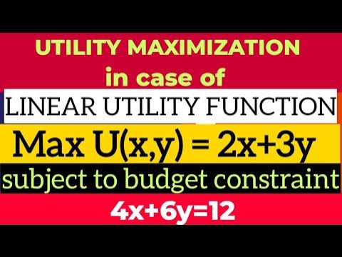 utility maximization in case of linear utility function . three cases ...