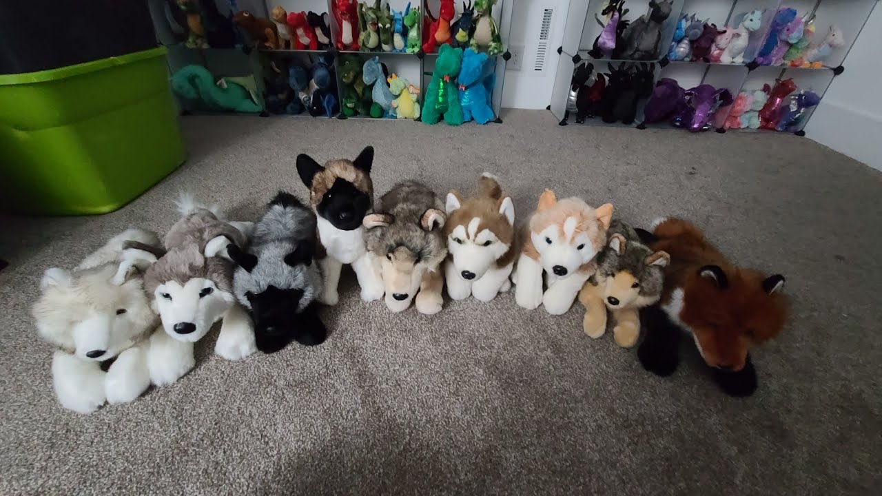 Wolves of the Full Moon - Part 1 (A Wolf Pack Story) - YouTube