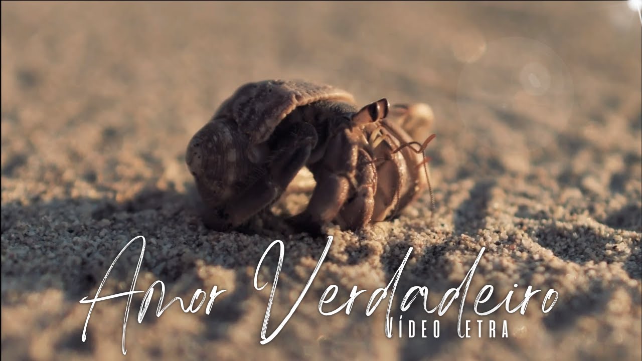 Amor verdadeiro - Vídeo Letra - YouTube