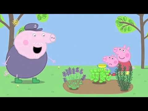 Peppa Pig Season 4 Episodes 27 39 Compilation in English - YouTube