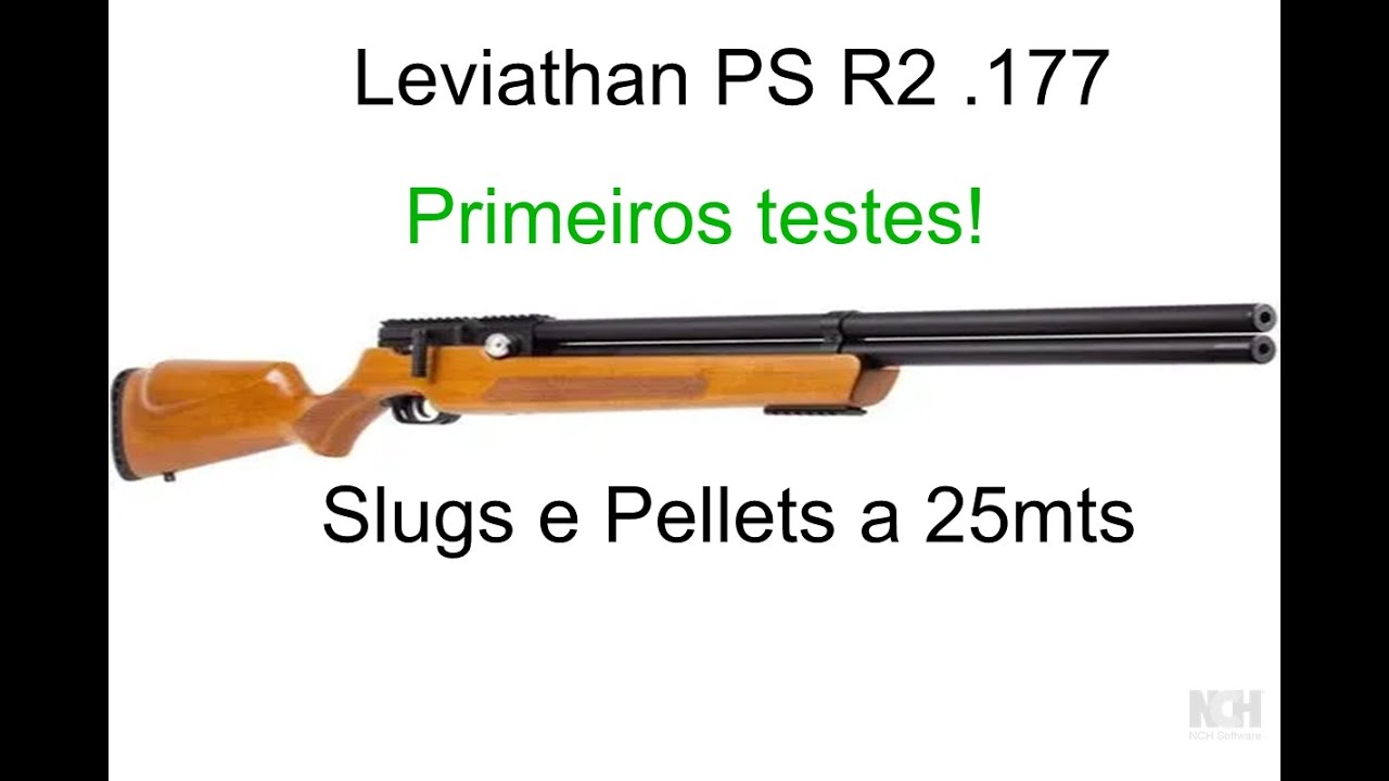 Leviathan 177 Slugs VS Pellets 25mts - YouTube
