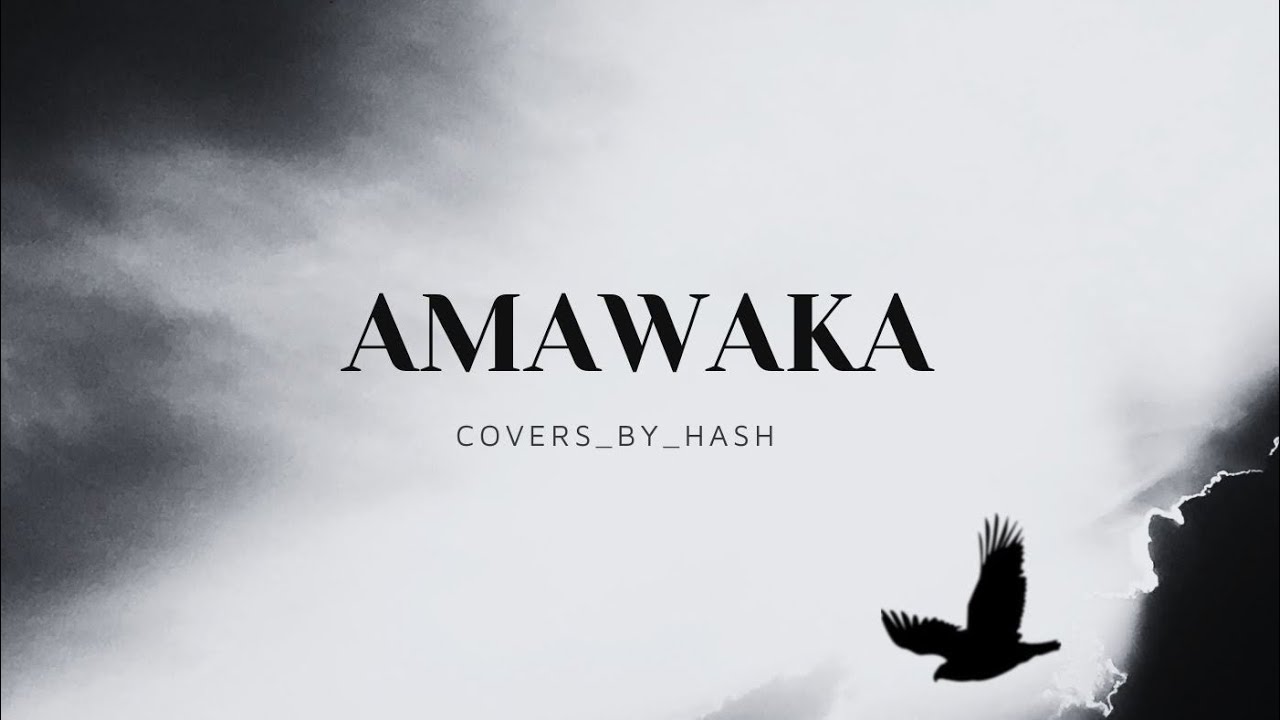 Amawaka | Female version | A cover by Hashmi Sathnara. @kinglotuss ...