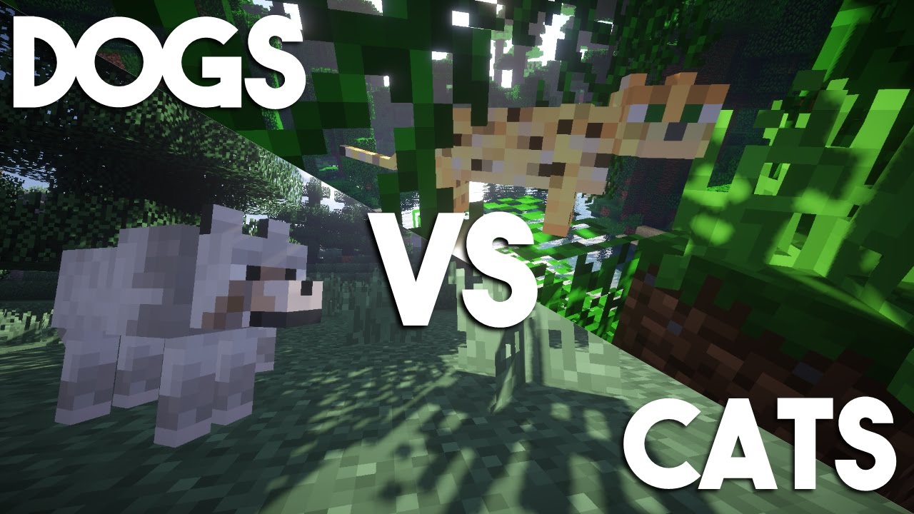 CATS VS DOGS in Minecraft! - YouTube