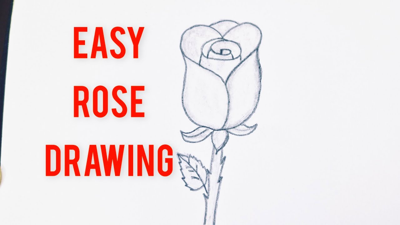 ROSE Drawing Easy | How to Draw a Rose step by step | Rose drawing ...