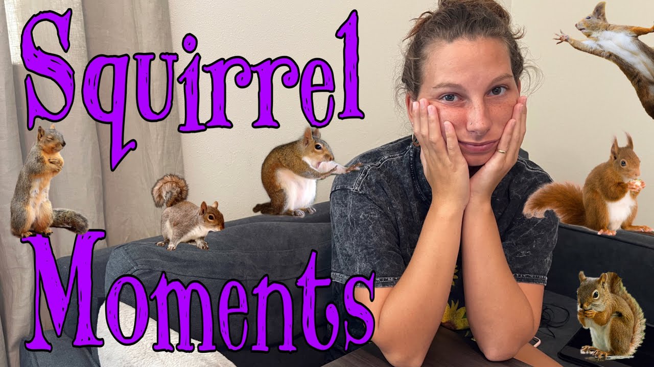 Overcoming Those "Squirrel Moments" And Getting Organized - What Do I ...