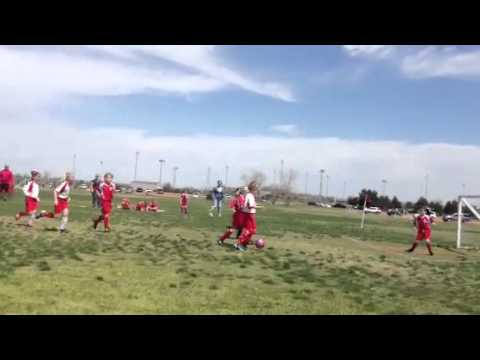 Bumblebee soccer - YouTube