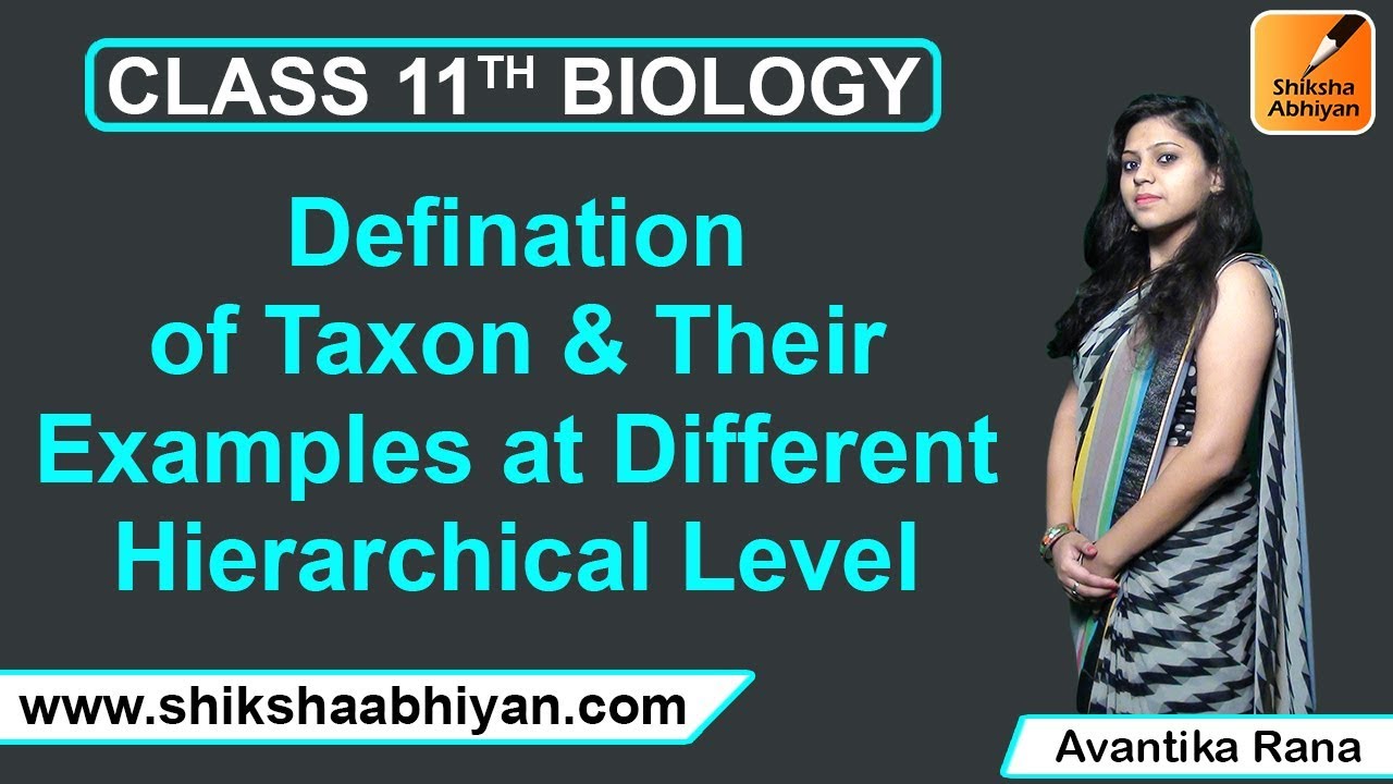 Q6 Definition of Taxon | The Living World | CBSE Class 11 Biology - YouTube