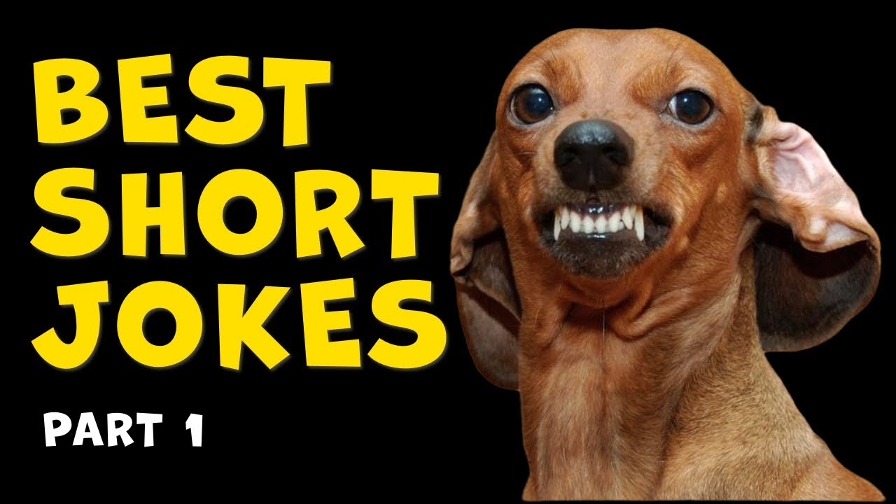 Best Short Jokes Compilation [Part 1] | Funny Stories & Two-Sentence ...