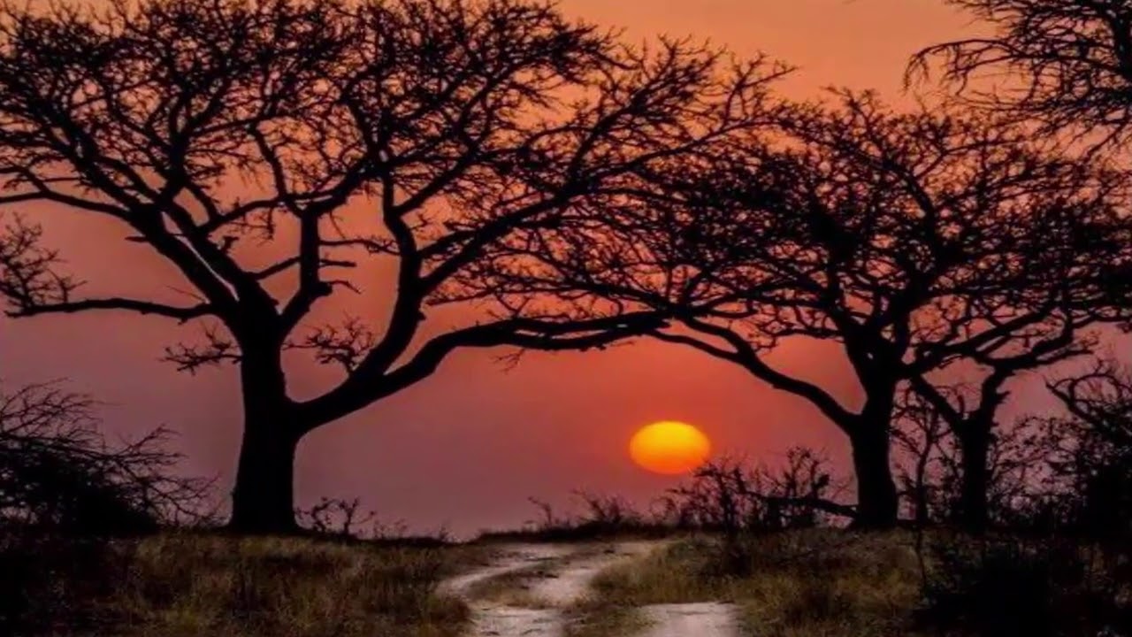 Nos Braços de Morfeu/ In the arms of Morpheus. - YouTube