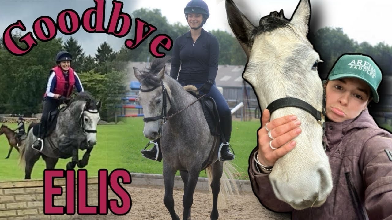 Where has Eilis gone? - YouTube