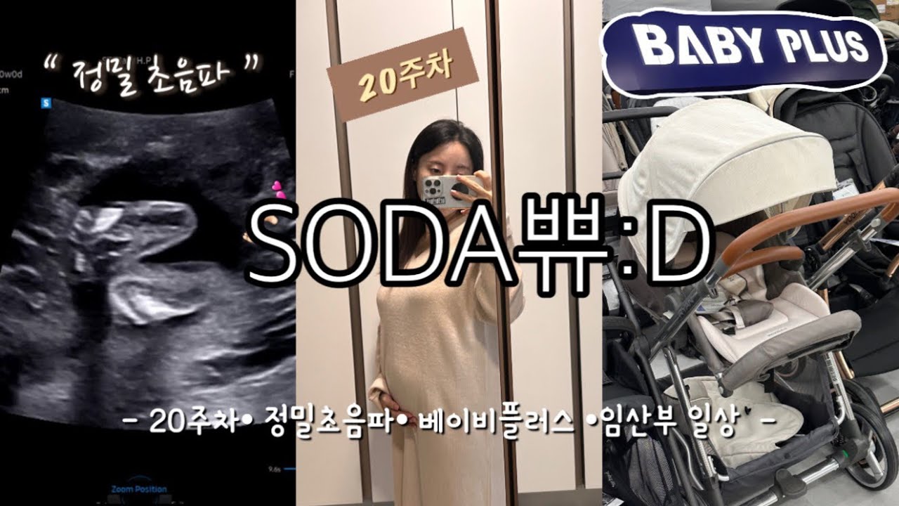 20주•정밀초음파•베이비플러스 아기용품 준비하기🍼•유모차•임산부 일상• 소다쀼vlog Youtube
