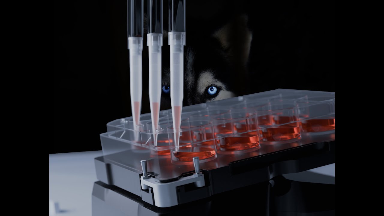 TiltStation | The new automated lab device for cellular applications ...