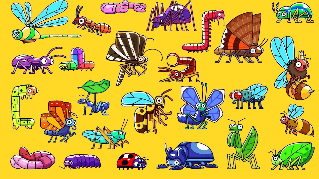 111 all Insert animals Alphabet A to Z insert - Learn Insert Name and ...