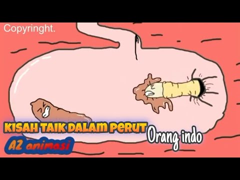 kisah tai dalam perut orang indo.!!
