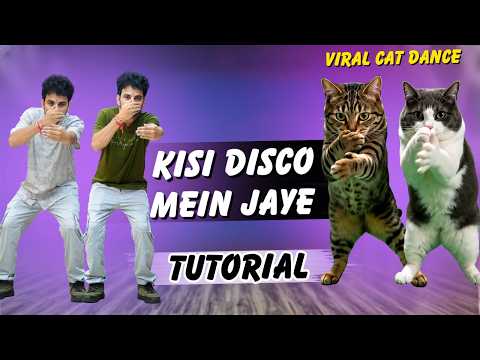 Kisi Disco Mein Jaaye Viral Cat Dance Trend Tutorial | Ajay Poptron Tutorial