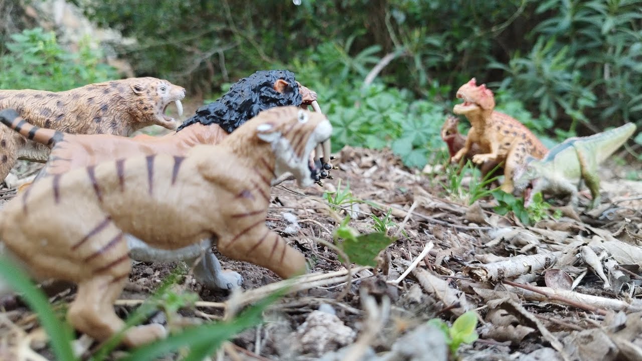 Life Of The Smilodon 3: Pride VS Pack - YouTube