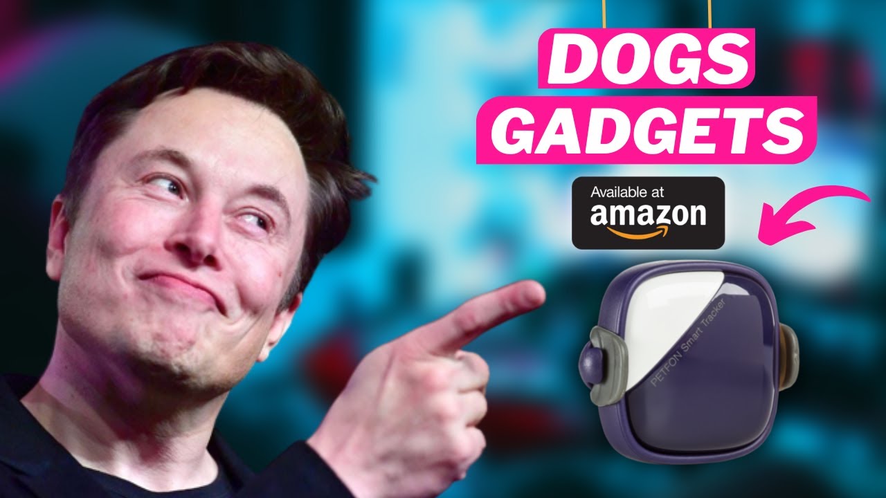 Unleash the Fun with These Cool Dog Gadgets 🐕⚙️ - YouTube