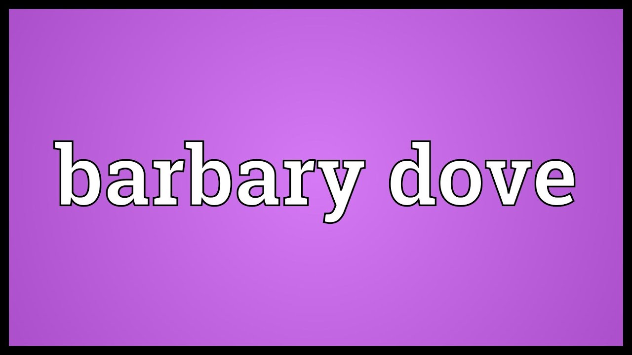 Barbary dove Meaning - YouTube