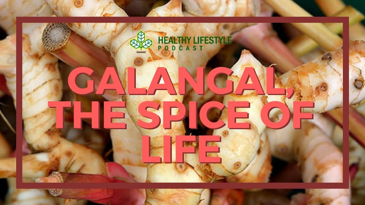 Galangal Root, the Spice of Life - YouTube