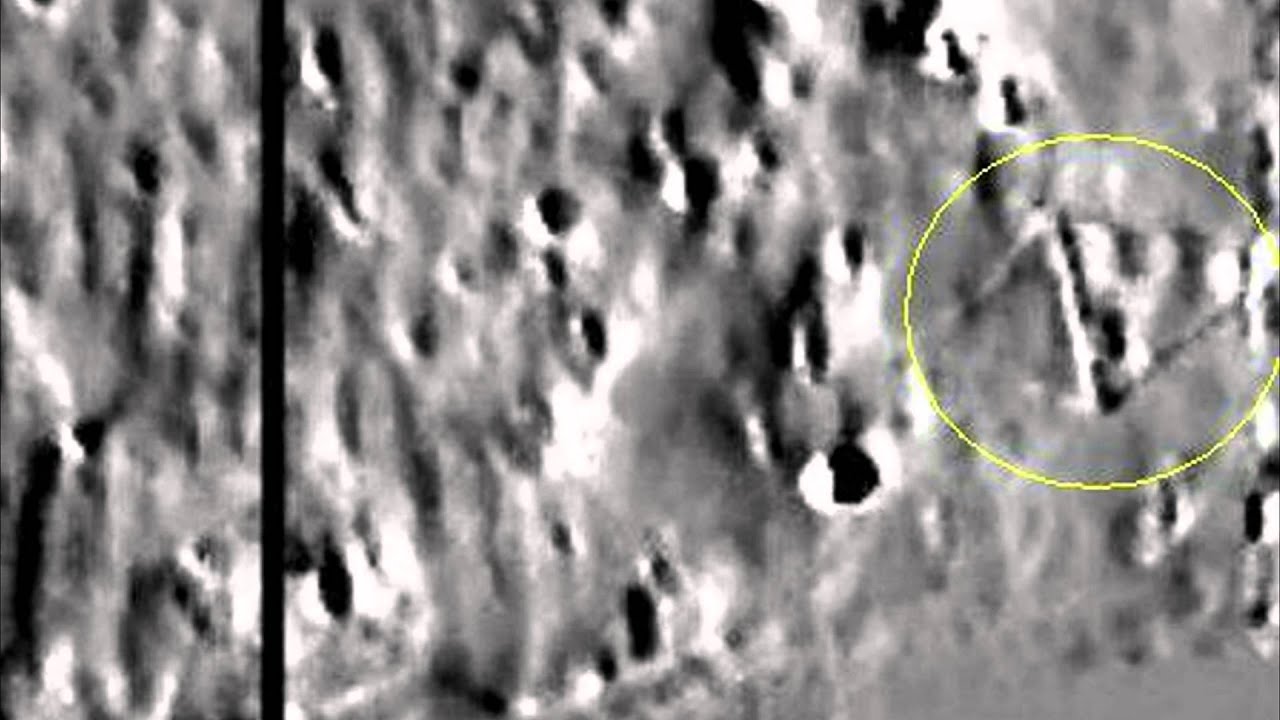 Leonid Ksanfomaliti - Objects on Venus look similar to living creatures ...