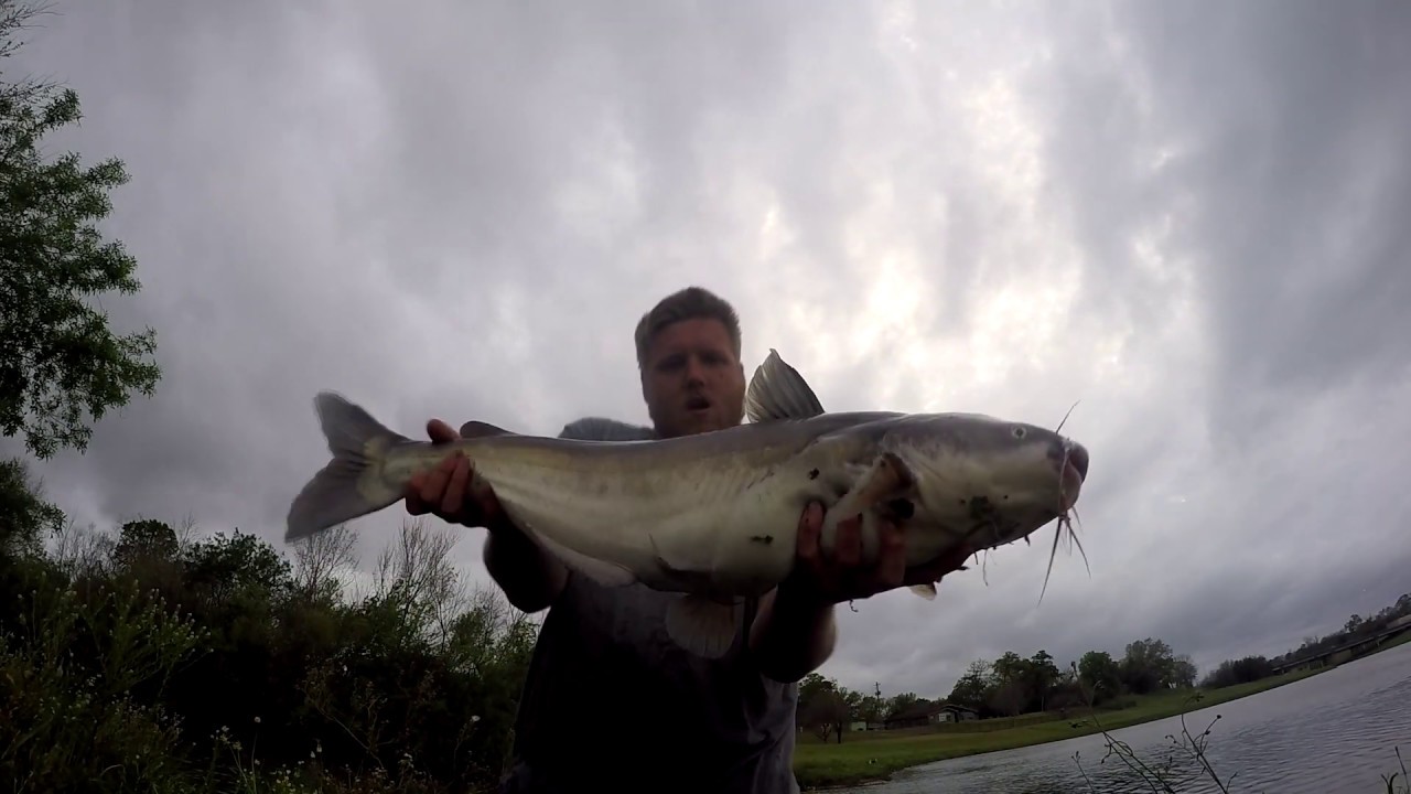 josh-catches-a-prehistoric-looking-fish-in-texas-member-submission-5