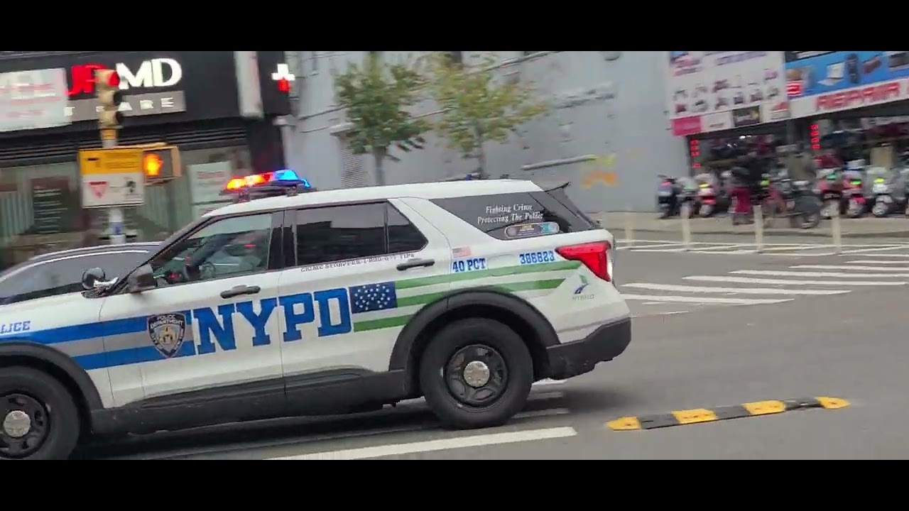 NYPD Ford Explorers responding in The Hub + 2015 New Flyer XD40 on the ...