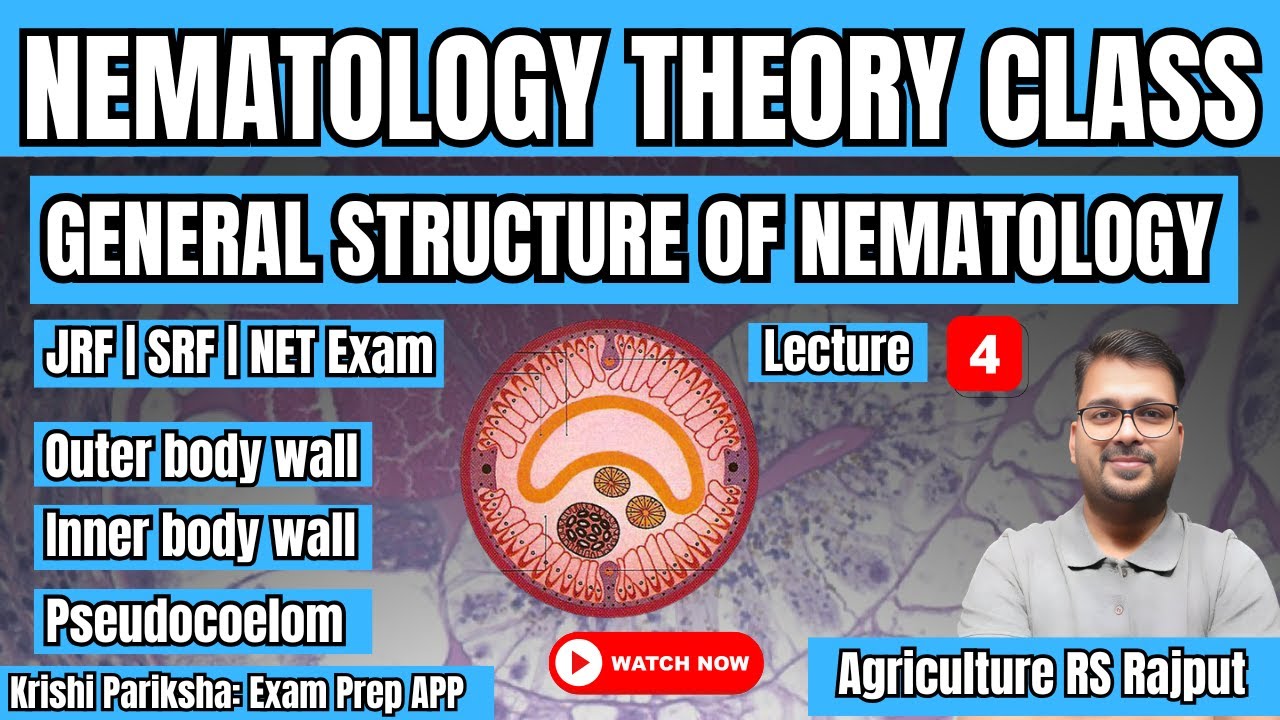 L-04: General Structure of Nematodes | Outer Body Wall | Inner Body ...