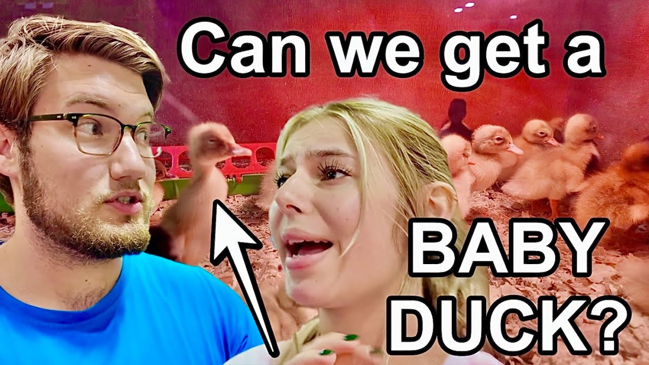 Can we PLEASE get one?? - YouTube