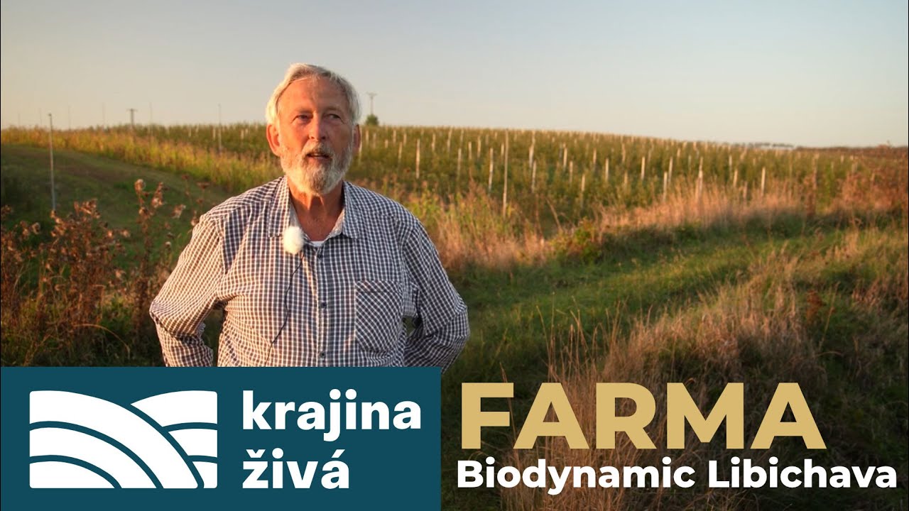 Farma živá 2023: Biodynamic Libichava - Libichava - YouTube