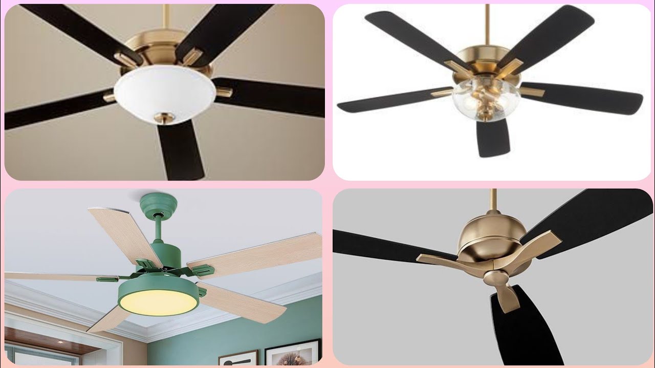 Luxury Ceiling Fan Ideas to Add Flair to Your Interiors - YouTube