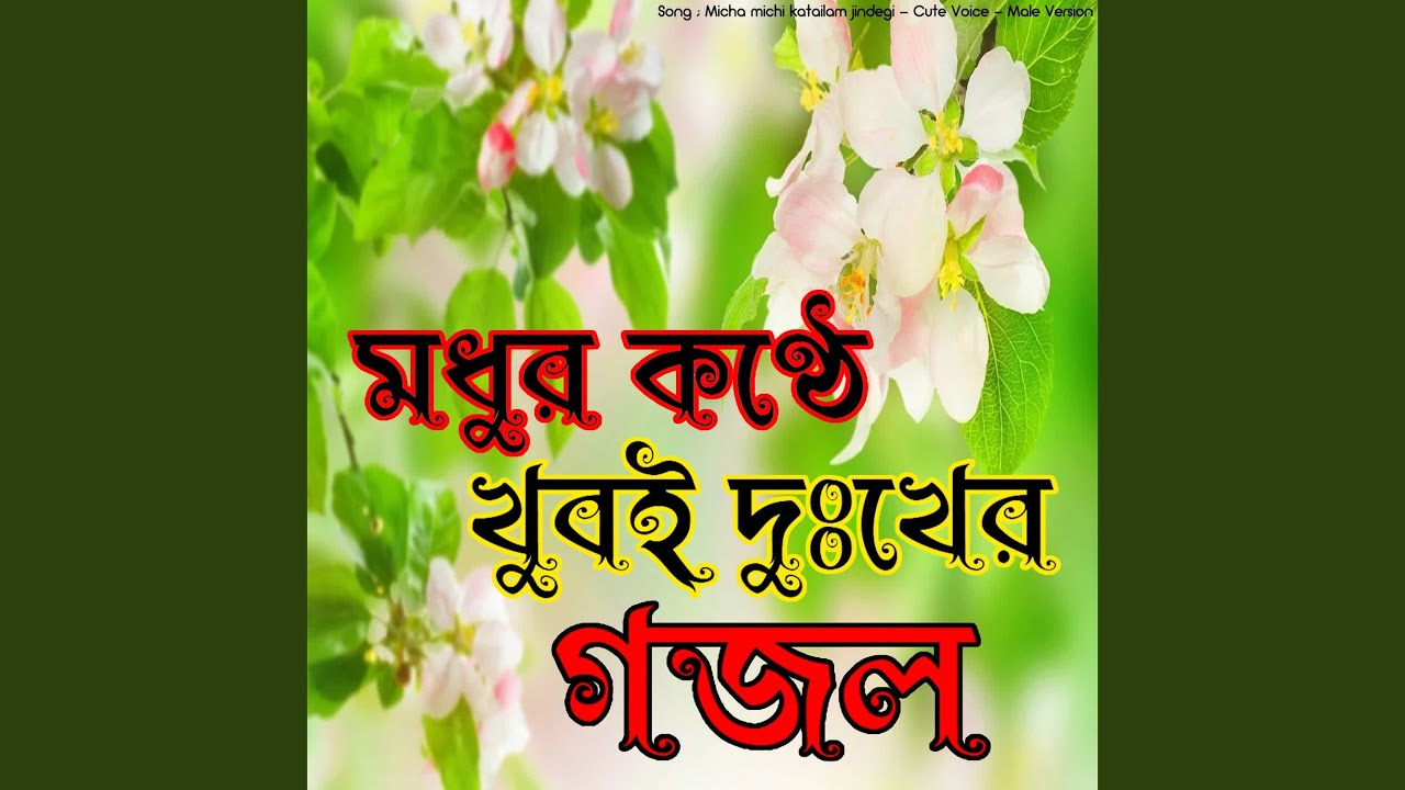 Micha michi katailam jindegi - Cute Voice - Male Version - YouTube