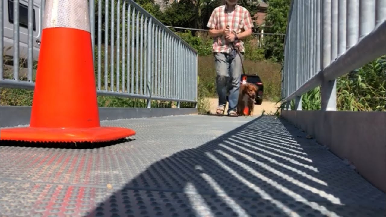 The *easiest* way to teach/practice the heel command - YouTube
