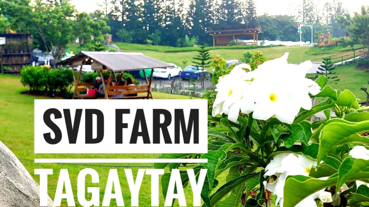 EXPLORING THE BEAUTY OF SVD FARM TAGAYTAY #farmadventure #familytime ...