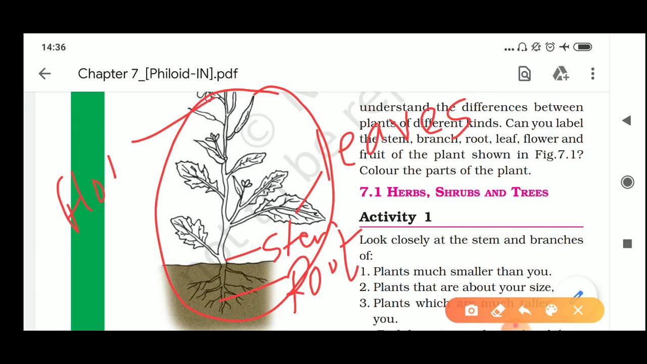 Class 6 Science Chapter 7 NCERT Explained In Hindi CBSE UPSC class-6-science-chapter-7-ncert-explained-in-hindi-cbse-upsc