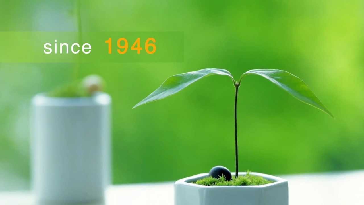 PREMIER FINE LINENS - YouTube